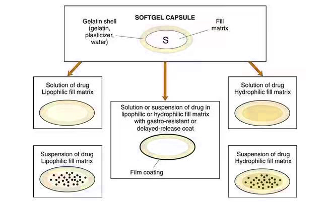 A Complete Overview of Blister Packaging Tooling