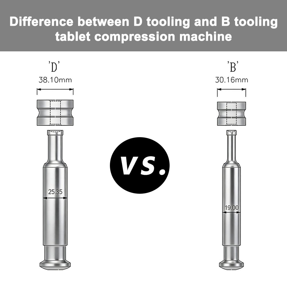 4 Types of Tablet Tooling | B, D, BB, and DB