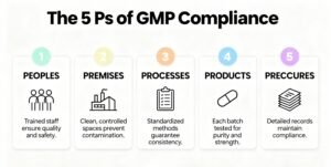GMP for Pharmaceutical Manufacturing: Your Complete Guide