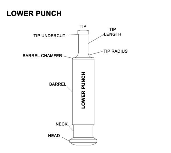 Standard Tablet Punch and Die Size Chart Explained
