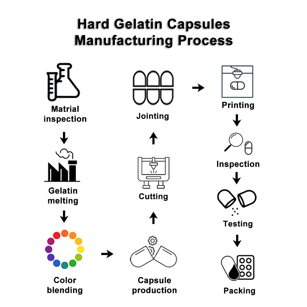 A Complete Overview of Blister Packaging Tooling